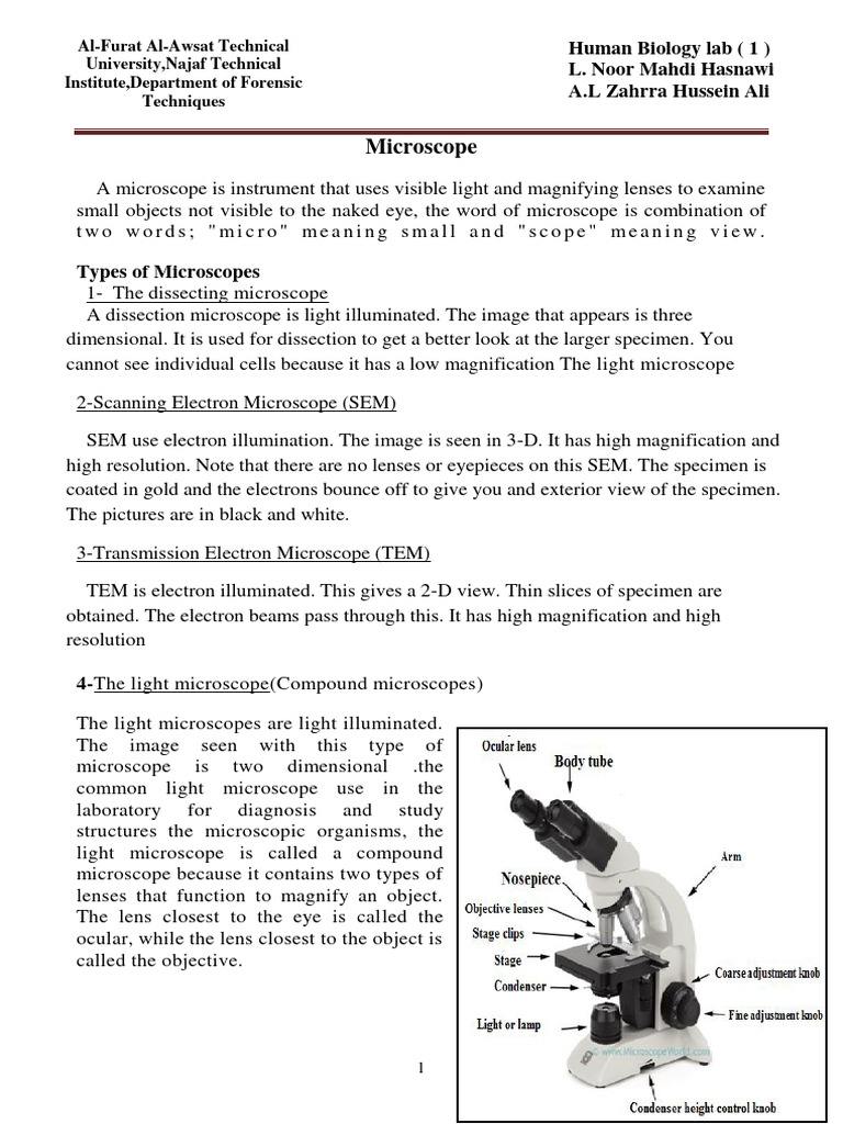 محاضرة البايو MICRO | PDF | Microscope | Scanning Electron Microscope