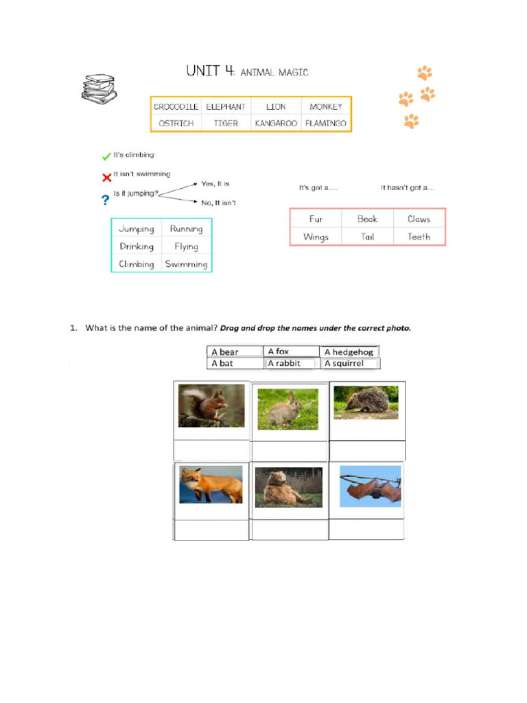 6.unit 4 Animal Magic. Its Got Si It ... Ing | PDF