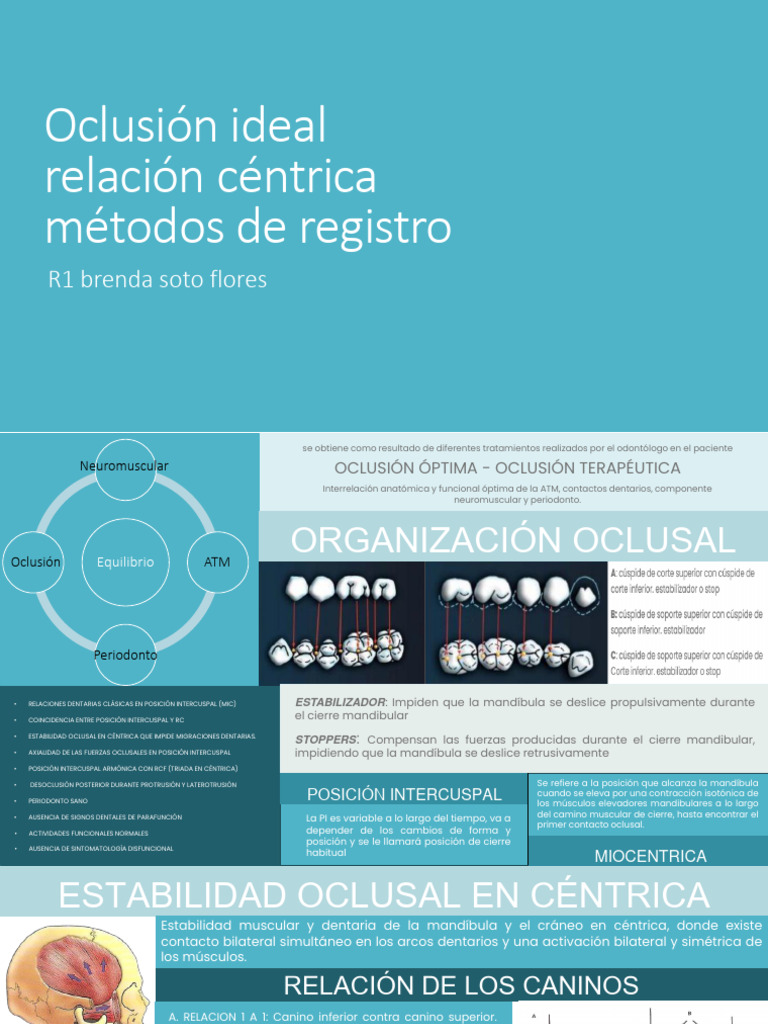 Oclusión Ideal: Métodos y Estabilidad | PDF | Odontología | Anatomía humana