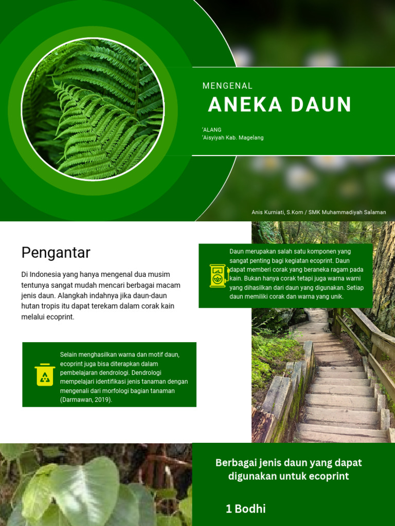 Pengenalan Daun | PDF