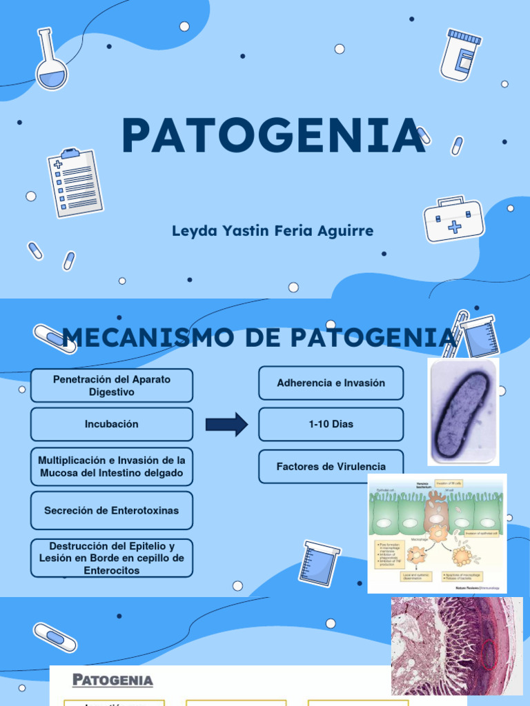 Yersinia Patogenia | PDF