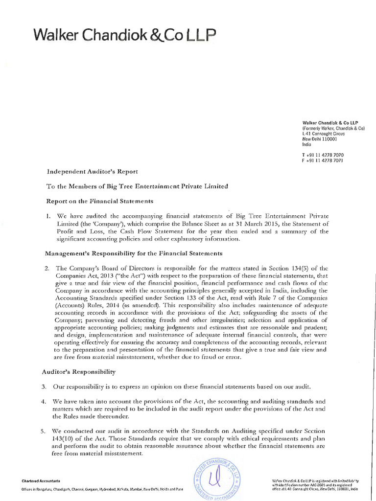 Big Tree Entertainment Private Limited | PDF | Audit | Accounting