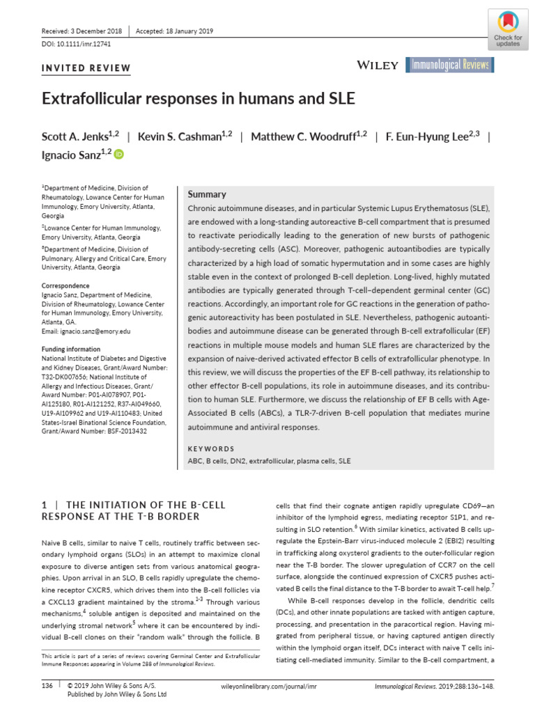 Extrafollicular Responses in Humans and SLE | PDF | B Cell | T Cell