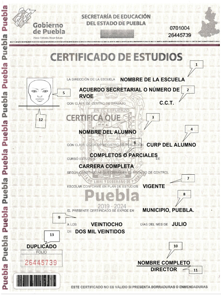 Certificado Completo | PDF | Enfermería | Ciencias de la Salud