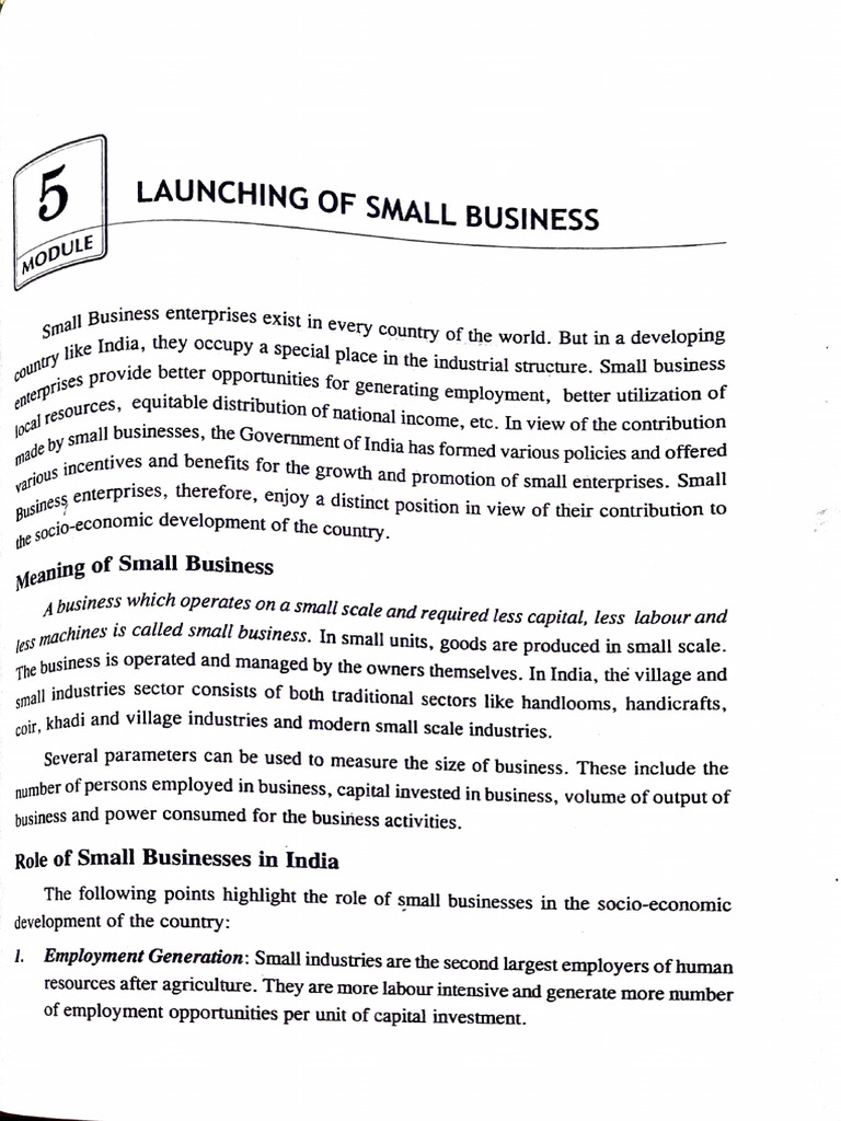Launching of Small Business | PDF
