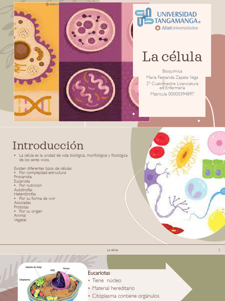 La Célula | PDF | Biología Celular) | Citoplasma