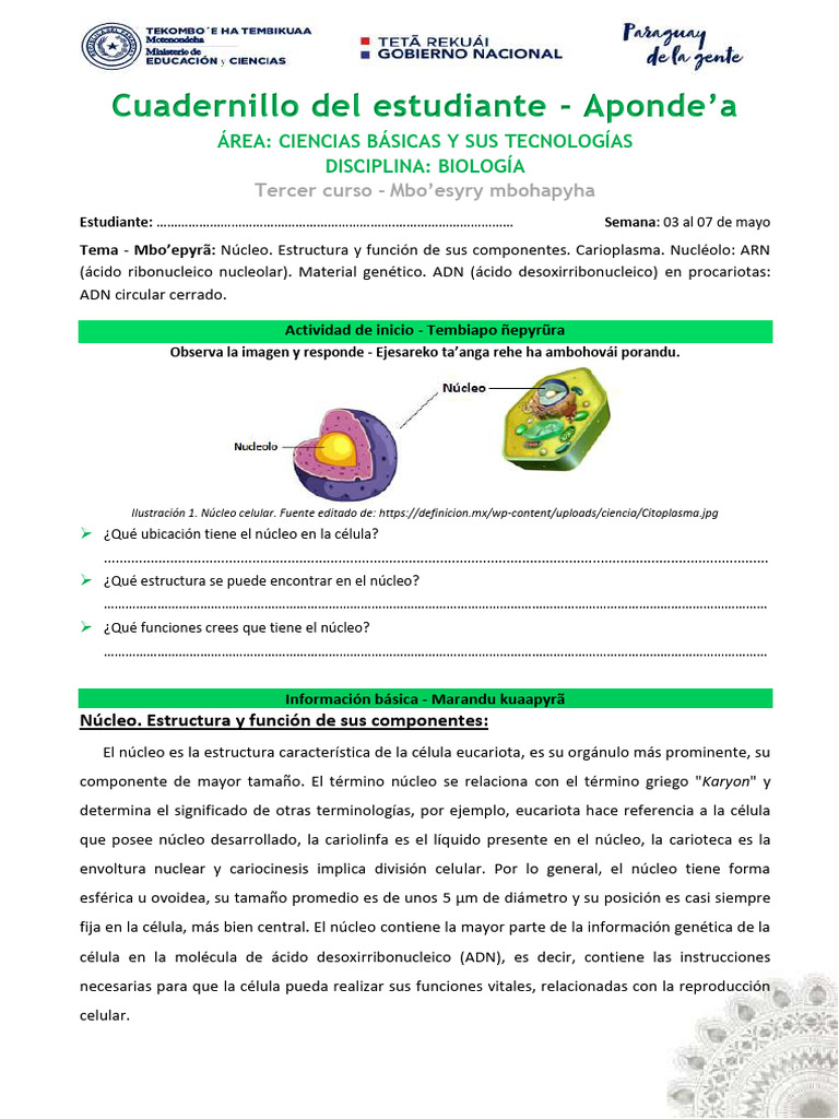Wa0021 | PDF | Nucleo celular | Citoplasma