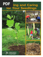 NJUG Tree Protection Guidelines 2025 | PDF | Trees | Root