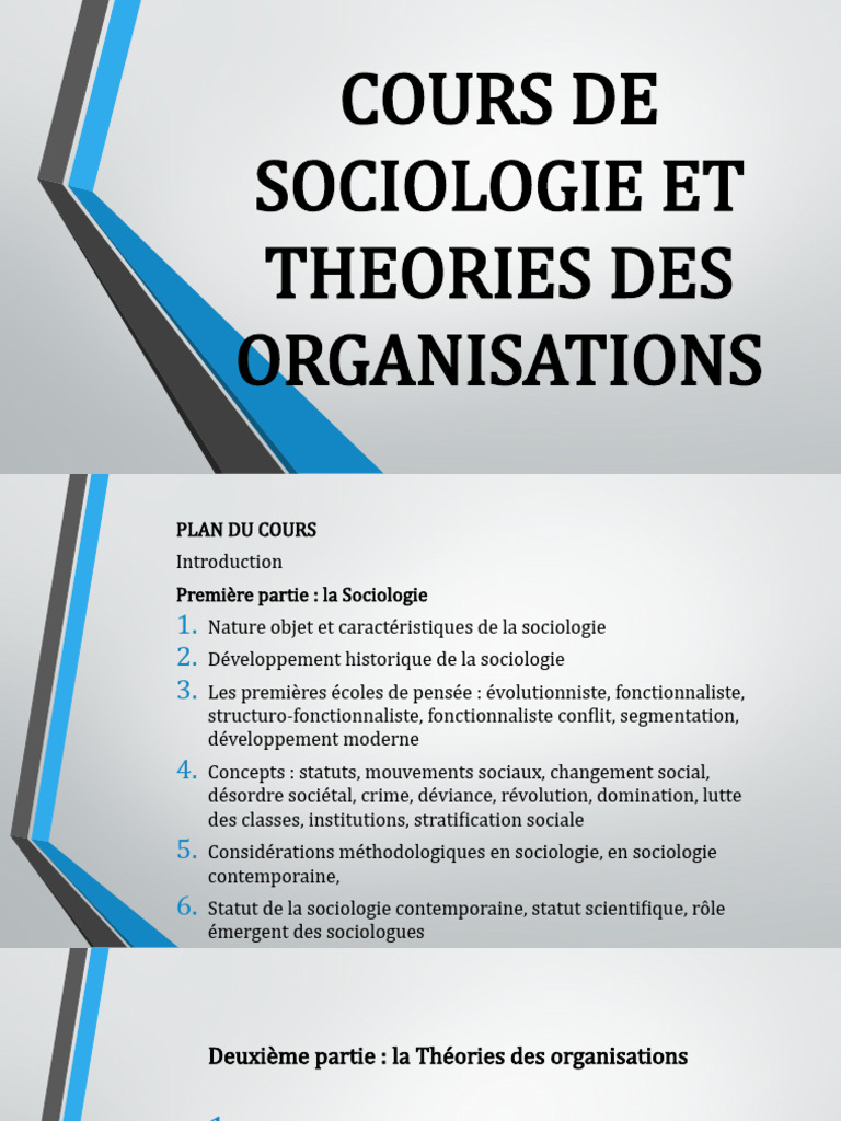 Cours de Sociologie des Organisations | PDF | Sociologie | Psychologie