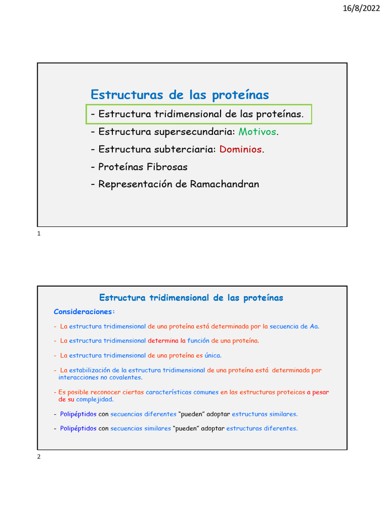 Estructura Tridimensional de Las Proteinas | PDF | Estructura proteica ...