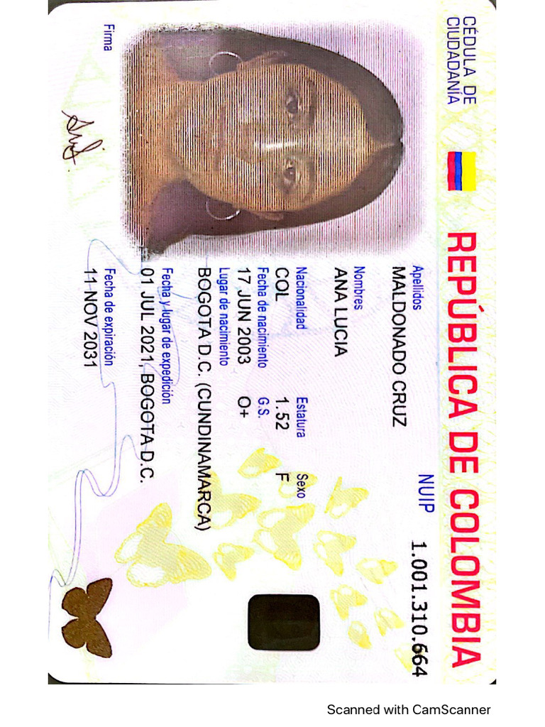 Documento de Identidad | PDF