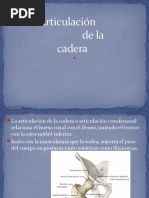 Articulación Coxofemoral Cuadro Integrador | PDF | Rodilla | Cadera