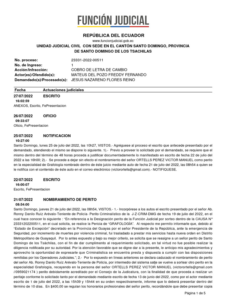 Reporte Proceso 23331-2022-00511 | PDF | Demanda judicial | Experto