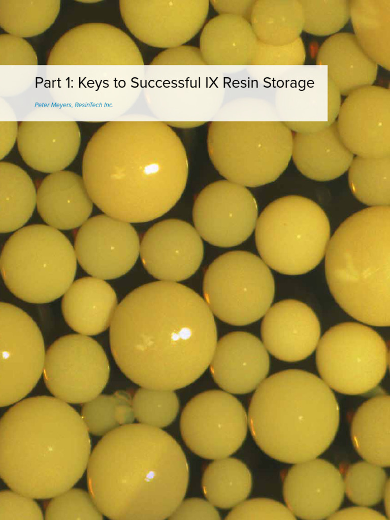 Part 1 - Keys To Successful IX Resin Storage AWT An | PDF | Ion ...