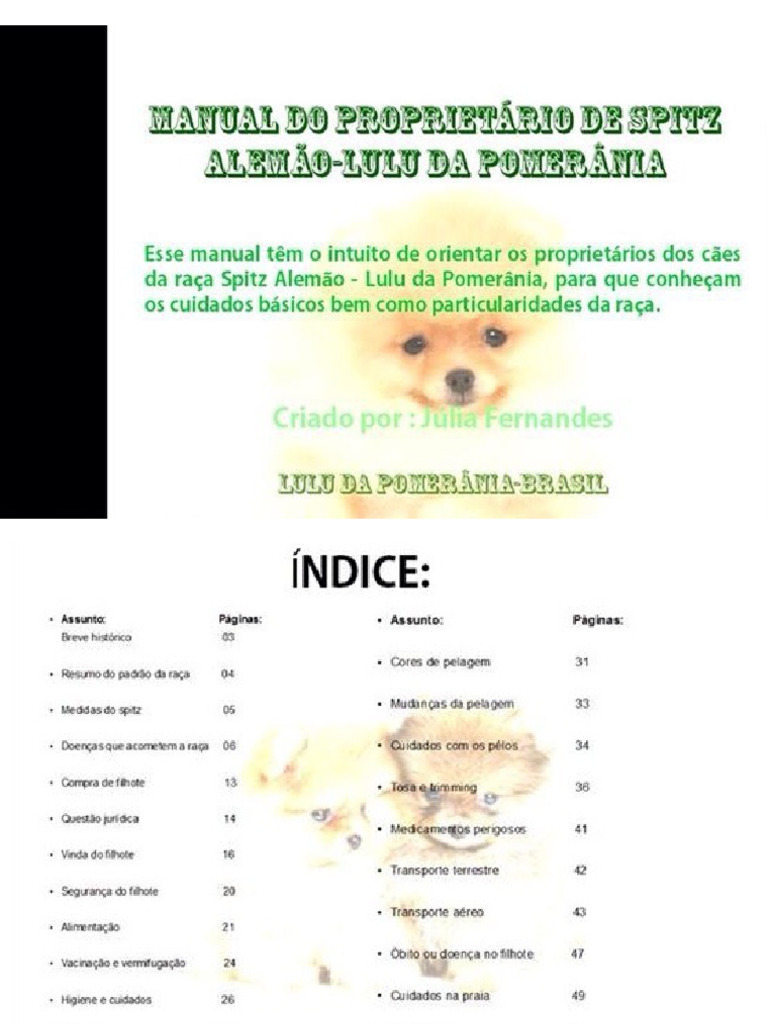 Manual - Lulu Da Pomera - Nia - Novo - PDF Versão 1 | PDF