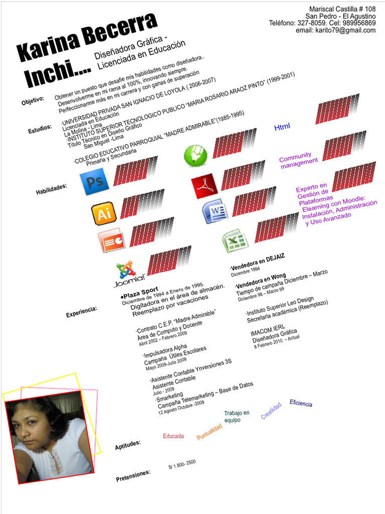 Cv Karina Becerra Inchi Pdf Desarrollo Web