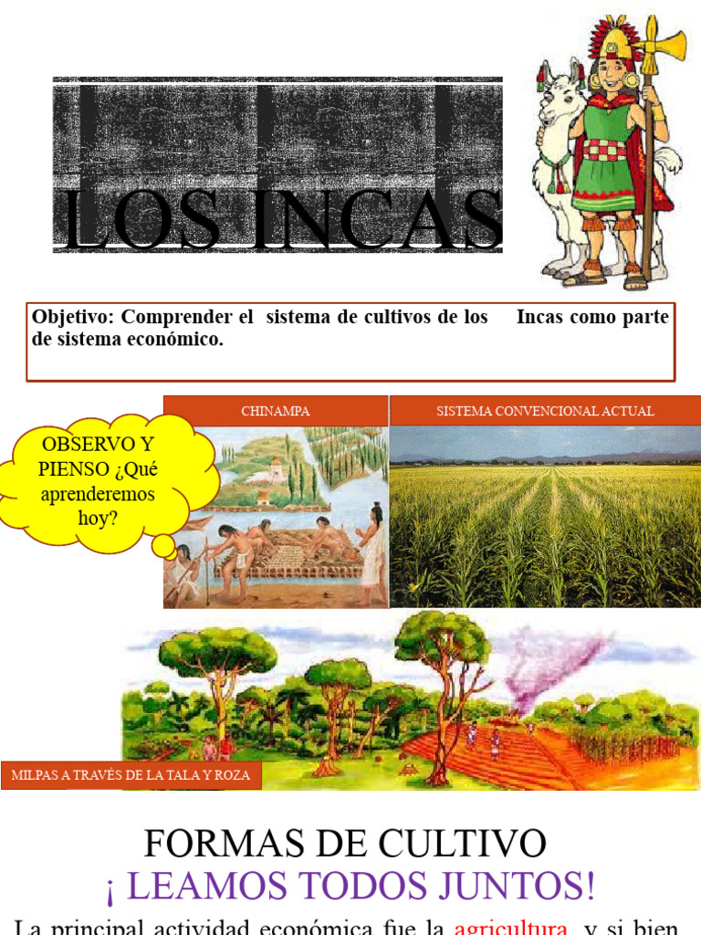 4° Básicos Los incas y su sistema de cultivos | PDF | Imperio Inca ...