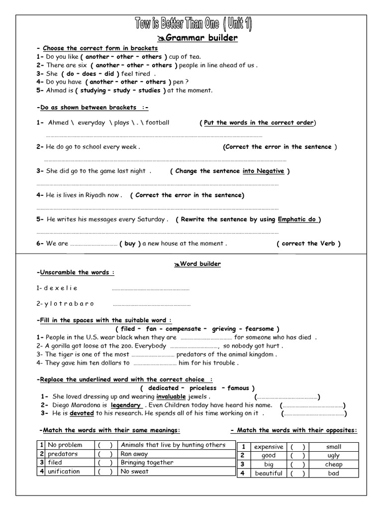 Grammar Builder | PDF | Grammar | Syntax