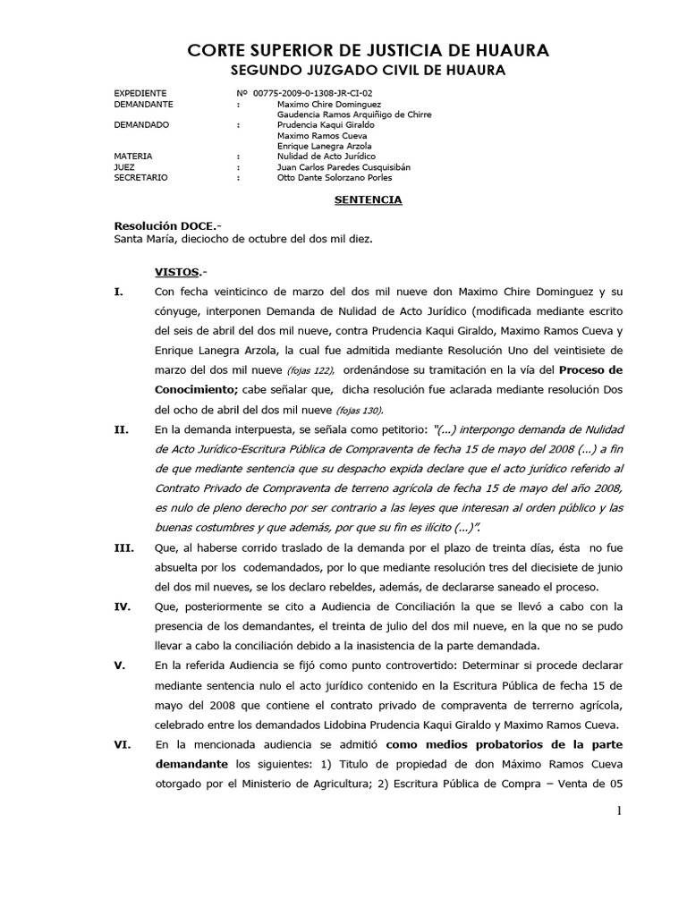 B. Sentencia Nulidad de Acto Juridico | PDF | Demanda judicial | Ley procesal