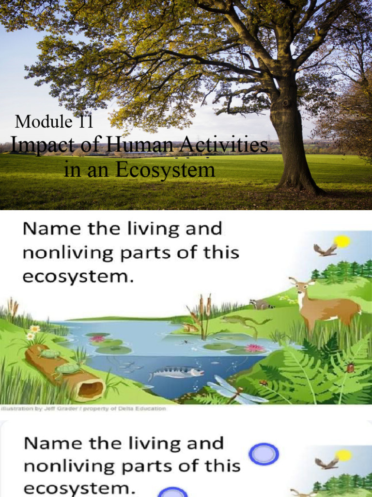 Human Impact on Ecosystems | PDF | Agriculture | Human Impact On The ...