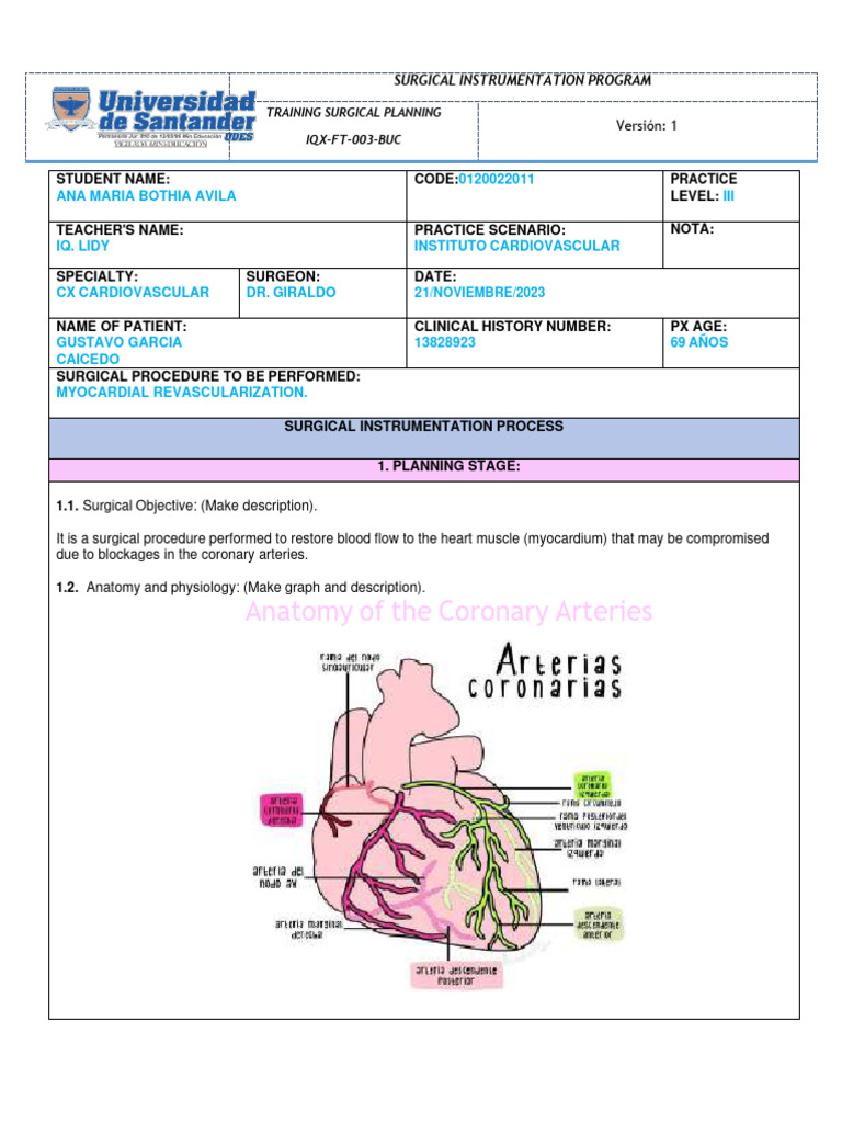 RVM Compressed | PDF | Coronary Circulation | Vein