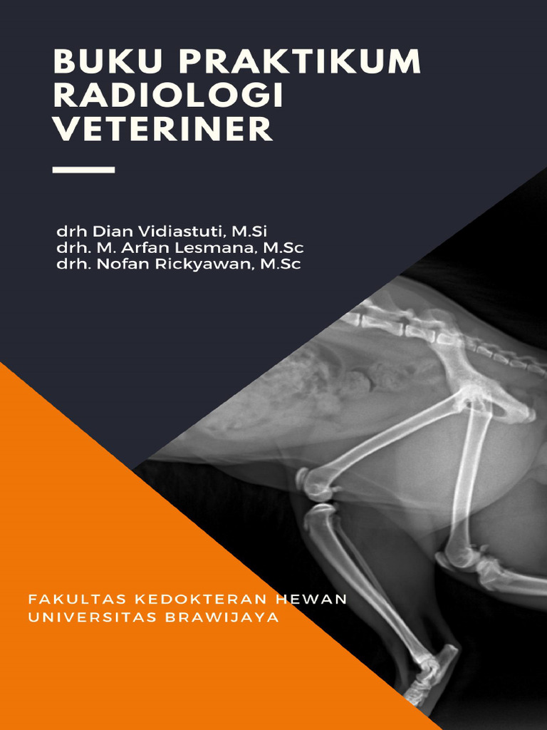 Diktat Radiologi | PDF