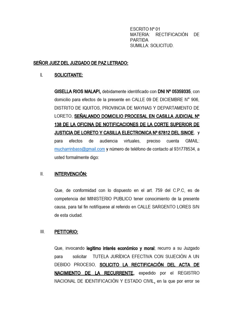 Demanada de Inscripcion de Patida - GISELLA RIOS MALAPI - CIVIL | PDF ...