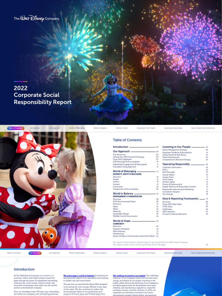 Disney 2022 CSR Report Highlights | PDF | Corporate Social ...