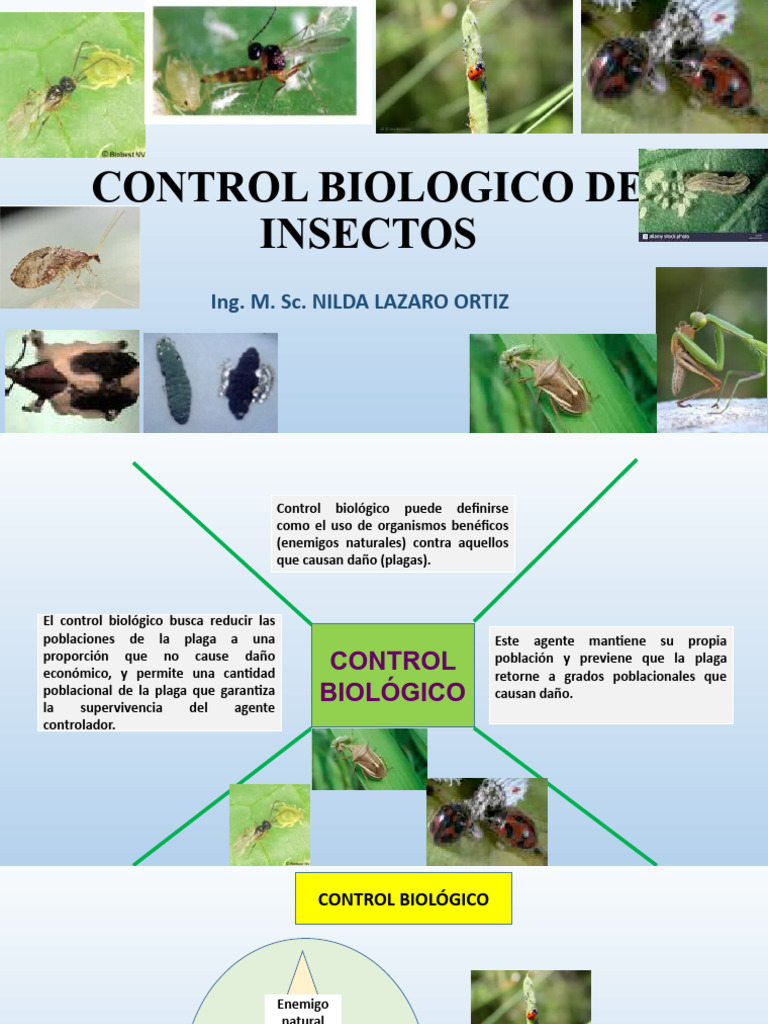 Clase 1 | PDF | Control biológico de plagas | Plaga (organismo)