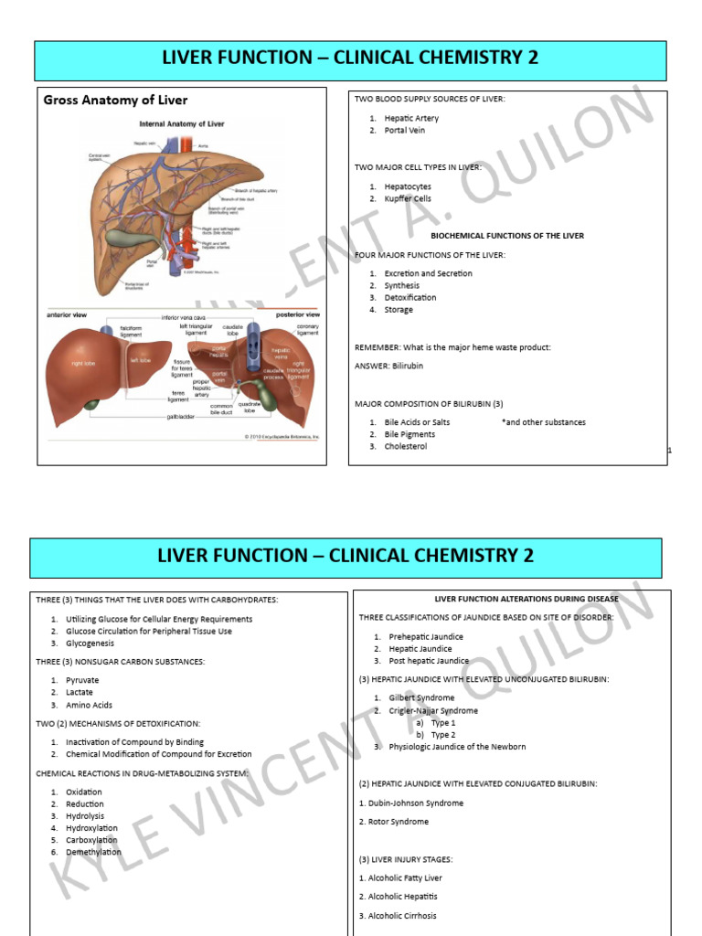 Liver Function Reviewer Cc2 | PDF | Liver | Metabolism