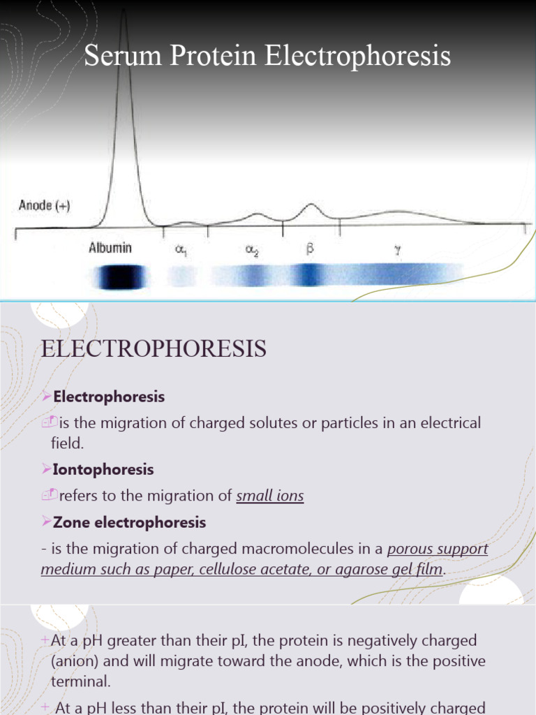 Serum Protein Electrophoresis Guide | PDF | Gel Electrophoresis ...