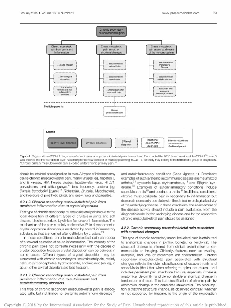 The - IASP - Classification - of - Chronic - Pain - For.10 - 0003 | PDF