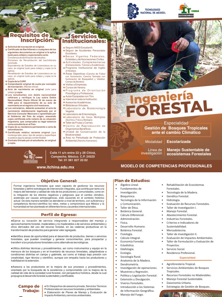 Ingenieria Forestal | PDF | Los bosques | Sustentabilidad