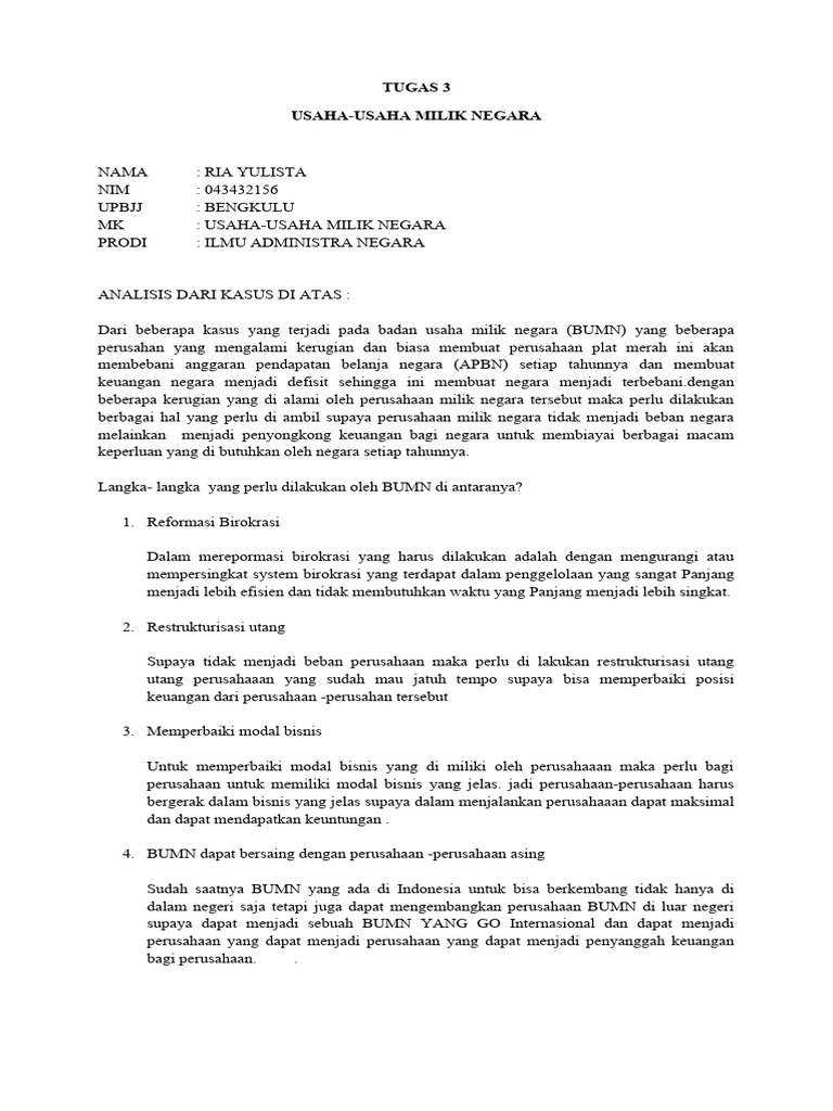 Tugas 3 Ria Usaha Usaha Milik Negara | PDF