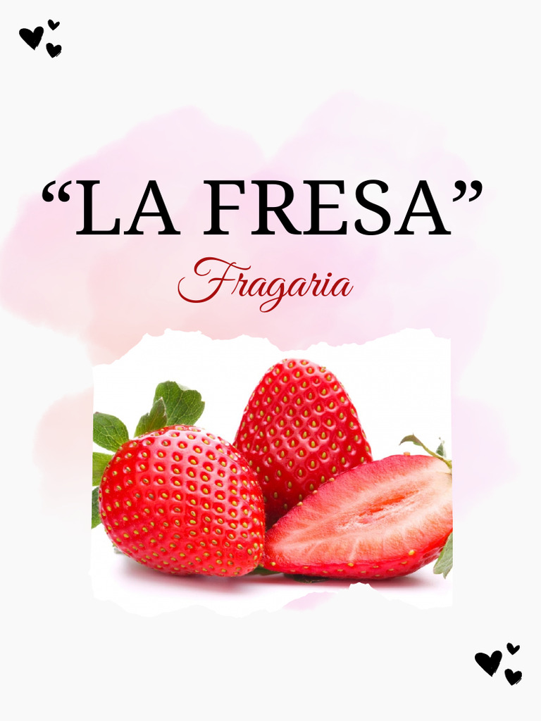 Tabla De Variedades De Fresas Inicio Fresas NM Obtentores De