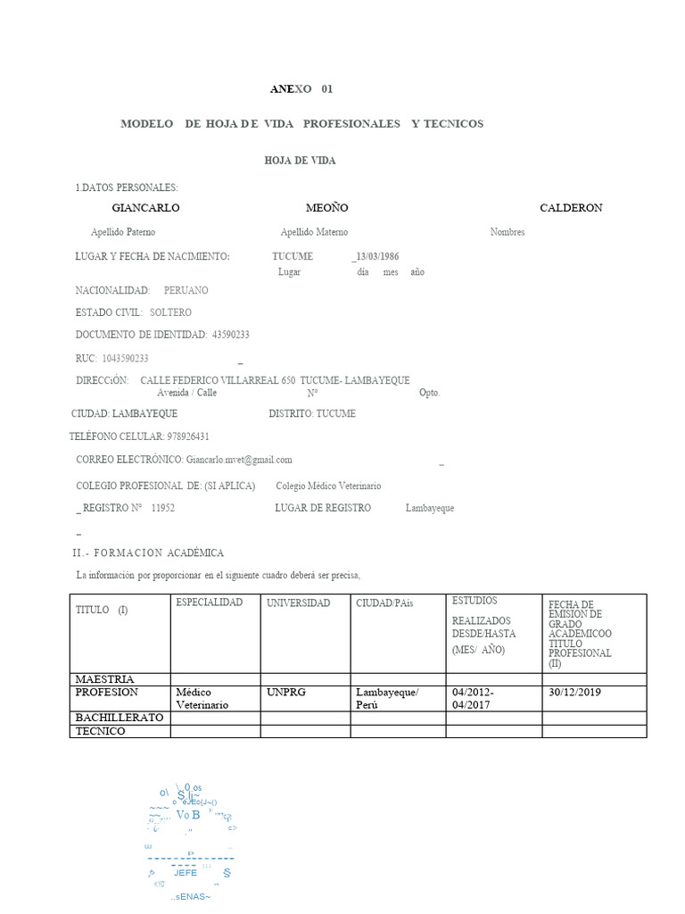 Hoja de Vida Profesionales y Técnicos CESAR T | PDF