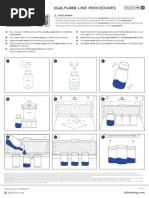 Ragdoll Method | PDF | Seed | Germination
