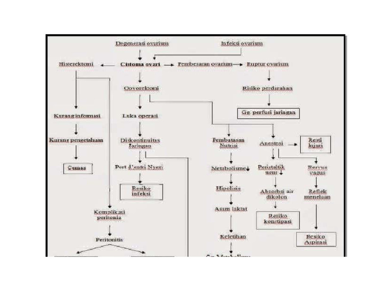 Pathway Ca Ovarium A2 | PDF