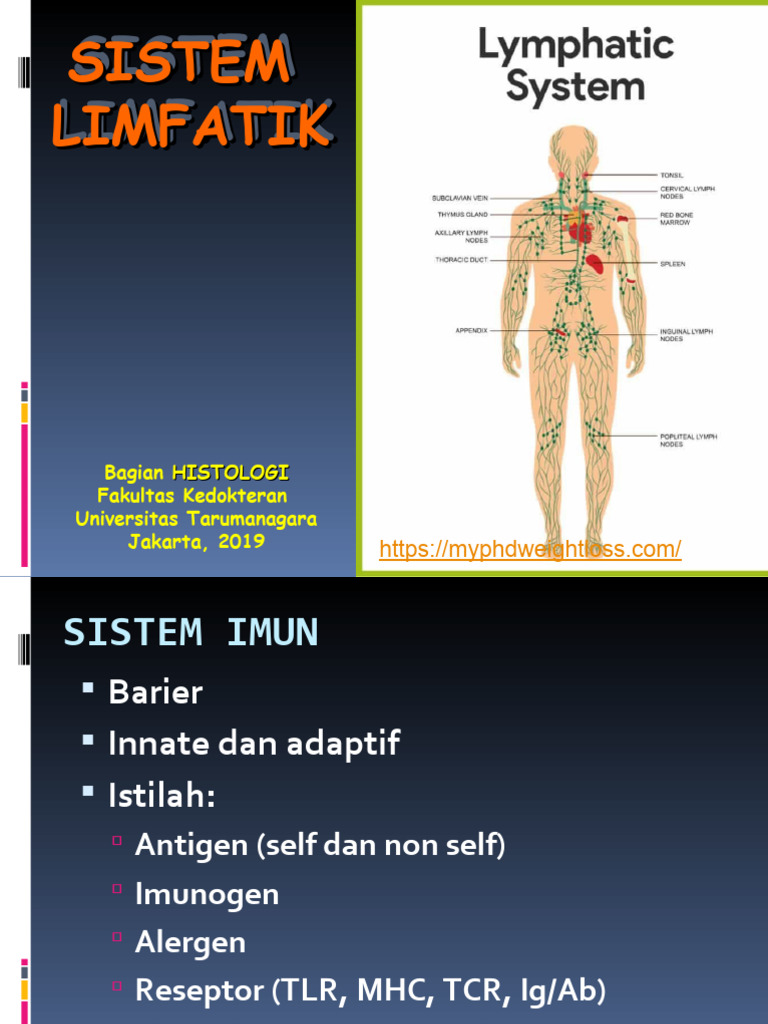 Sistem Limfatik Sistem Limfatik | PDF