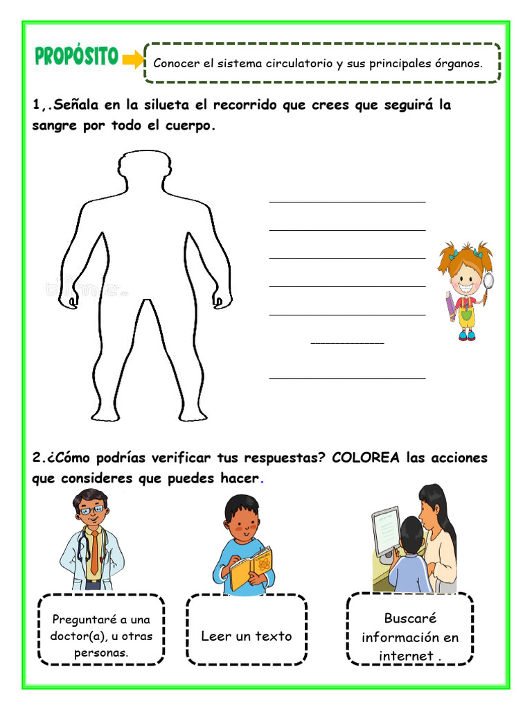 Fich El Sistema Circulatorio | PDF
