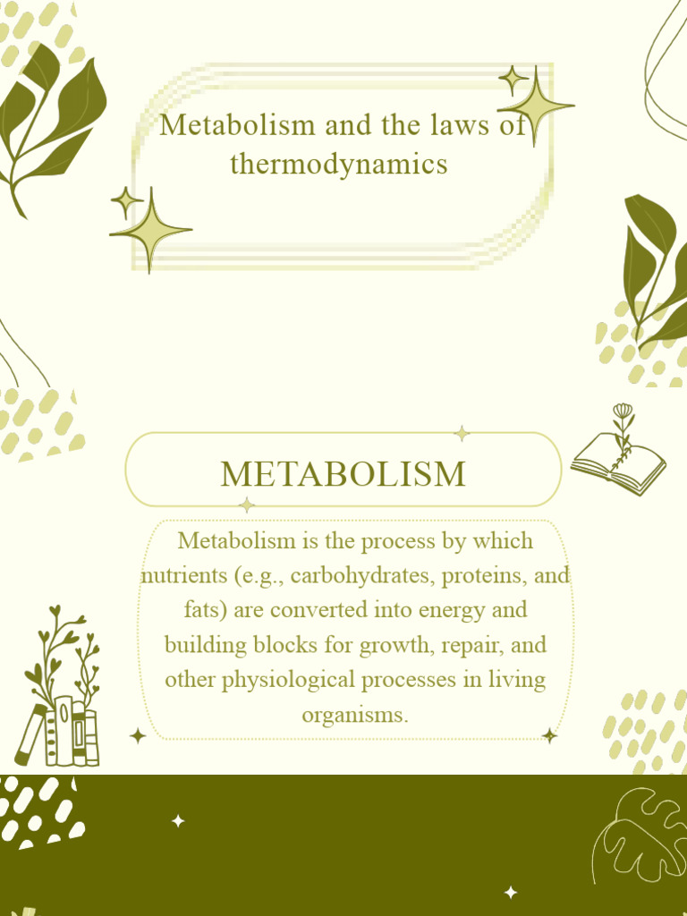 Metabolism | PDF