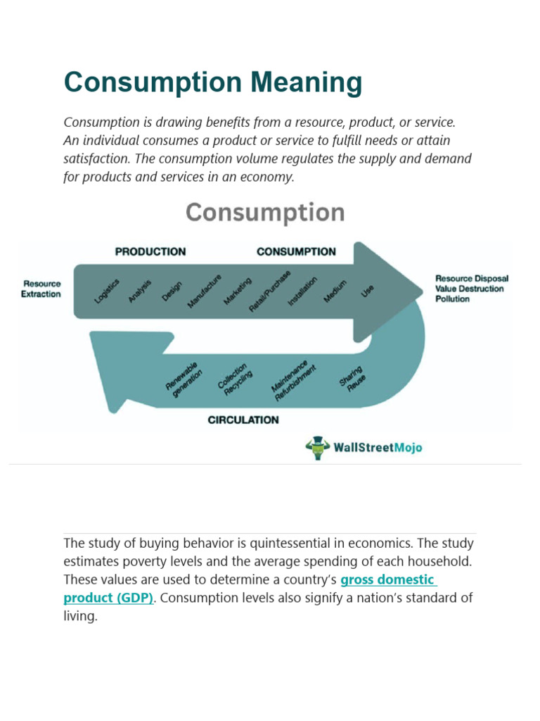 Consumption | PDF | Consumption (Economics) | Taxes