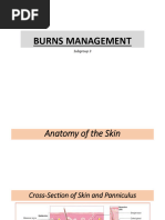 Lund and Browder Chart | PDF | Burn | Skin