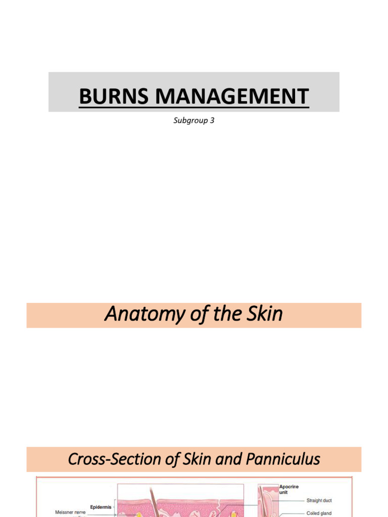 SG3 - Burns Management | PDF | Burn | Skin