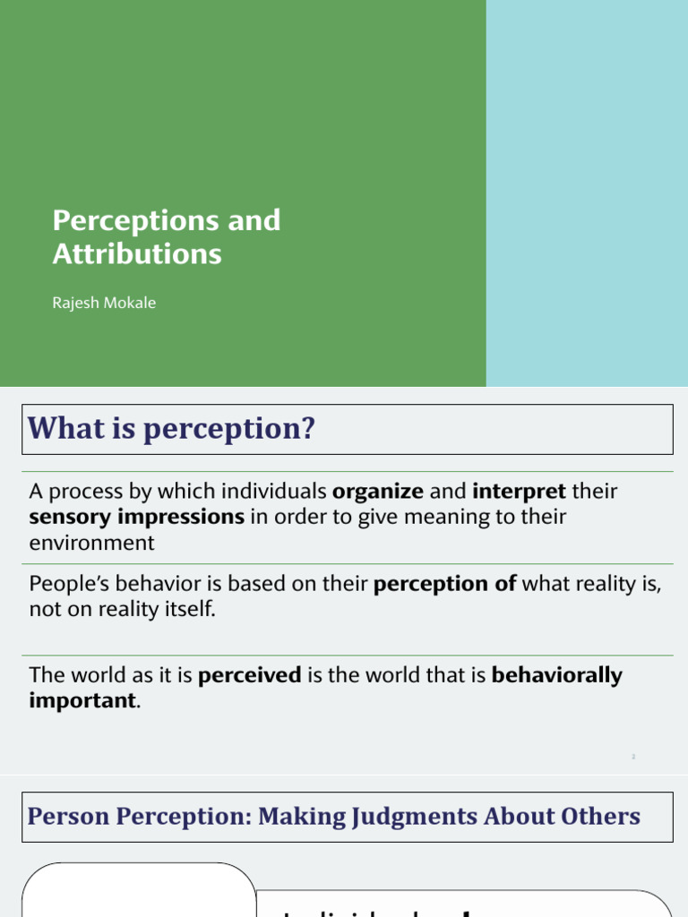 7 - Perceptions and Attributions | PDF | Bias | Perception