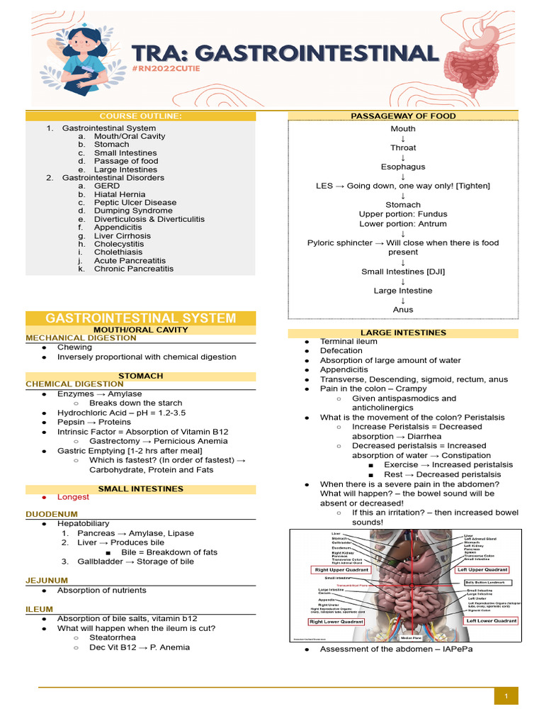 GASTROINTESTINAL | PDF | Digestion | Stomach