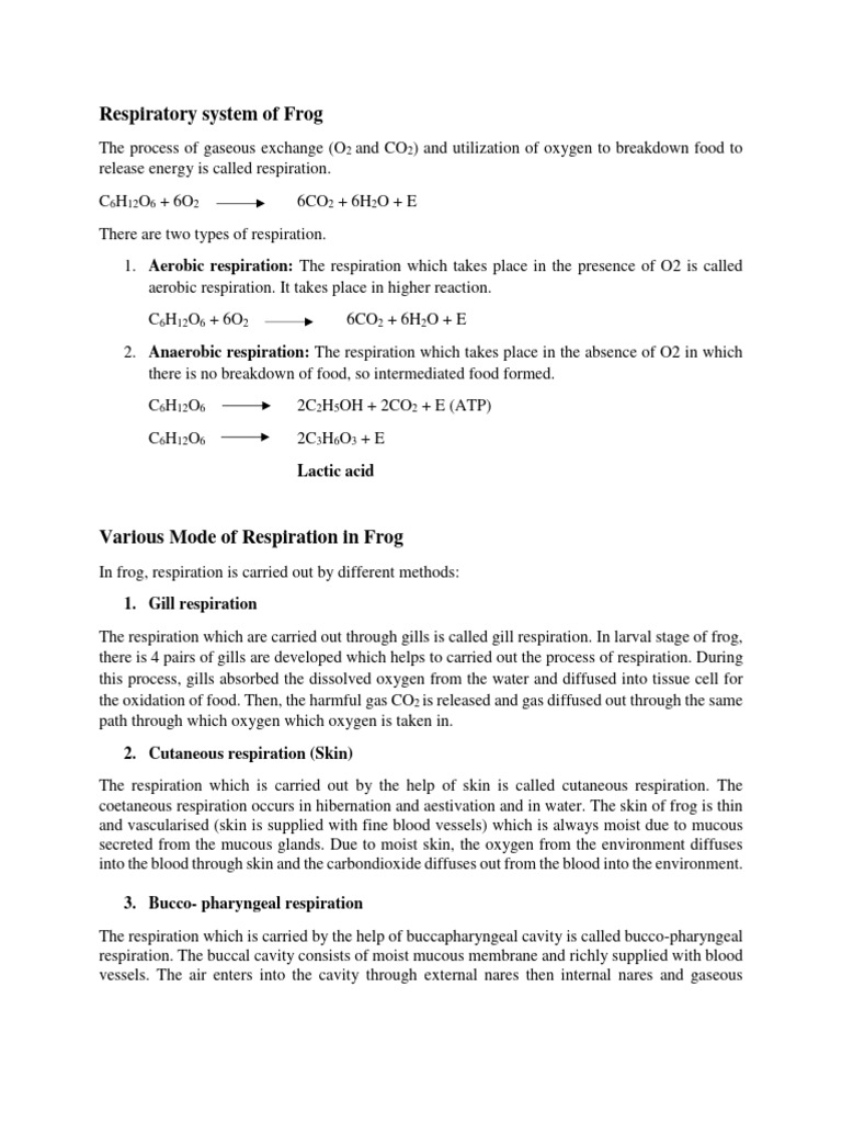 Respiratory System of Frog | PDF | Lung | Respiratory System