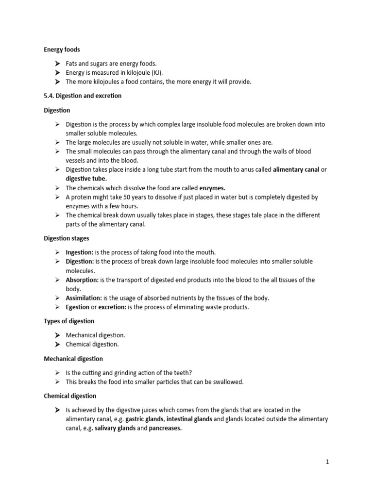 The Human Machine Cont... | PDF | Digestion | Human Digestive System