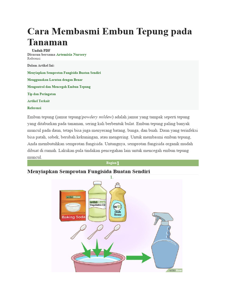 Cara Membasmi Embun Tepung Pada Tanaman | PDF | Memasak, Makanan ...