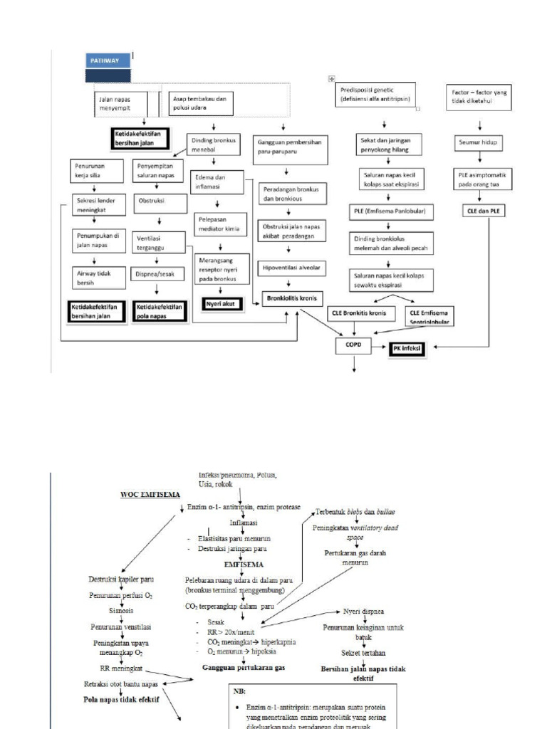 Pathway Emfisema Pdf